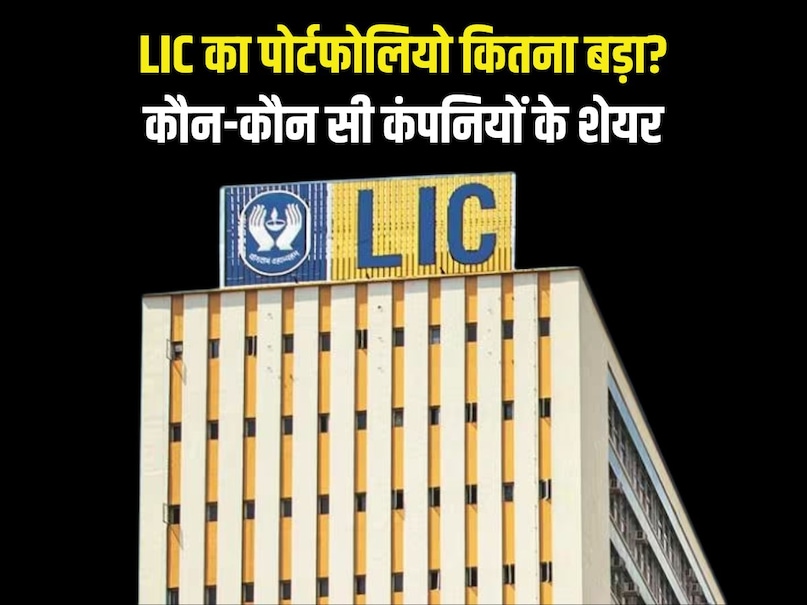 LIC ने कितना पैसा लगाया है शेयर मार्केट में? कितने शेयरों में किया है ...