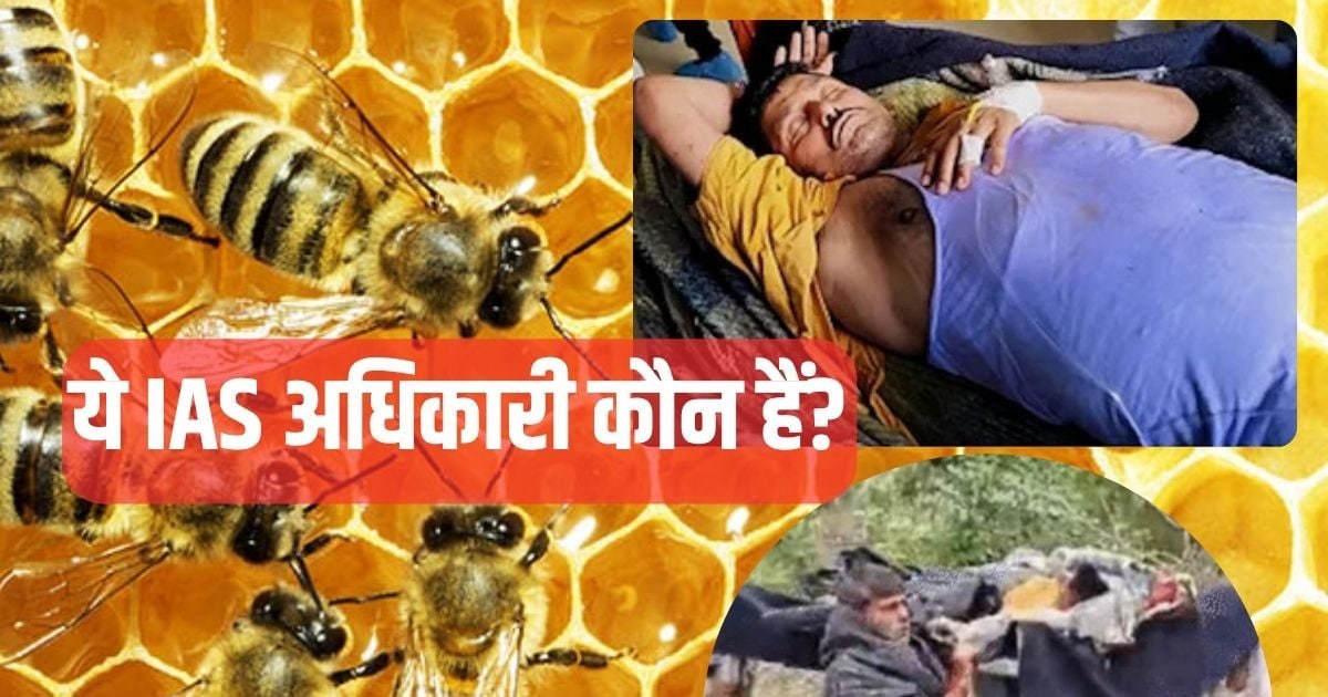 IAS Story, IAS Officer Bee Attack: कौन हैं IAS कमलकांत पांडेय, जिन्हें मधुमक्खियों ने डंक मारा ...
