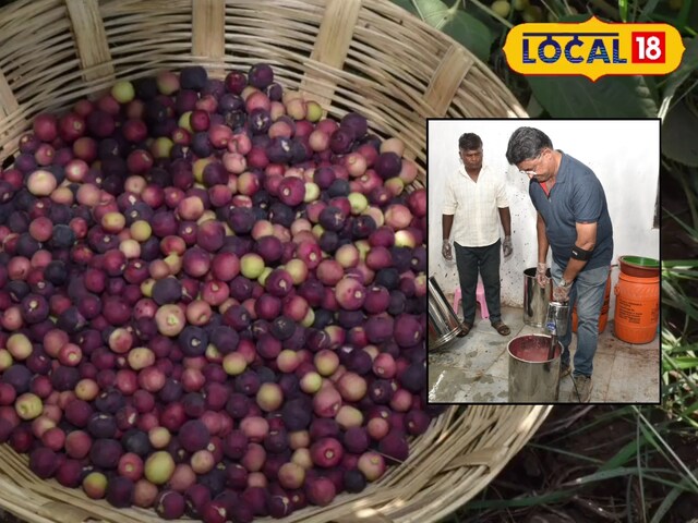 150 रुपये किलो का फल बना करोड़ों का बिजनेस! सिर्फ 1 महीने में कमा लिए 8 ...