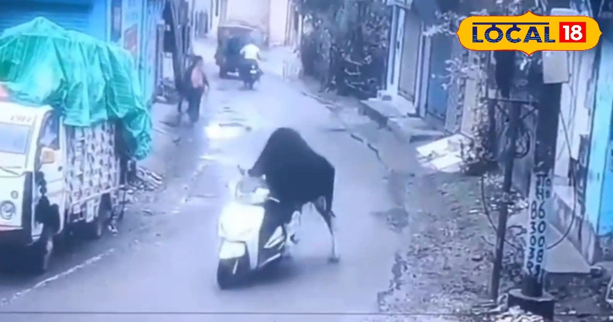 Rishikesh Viral Video: ऋषिकेश में सांड ने चलाई स्कूटी, वीडियो देख हंसते-हंसते लोटपोट हो जाएंगे ...