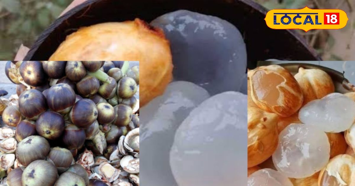 With the arrival of summer, the demand for Munjal fruit increases in ...