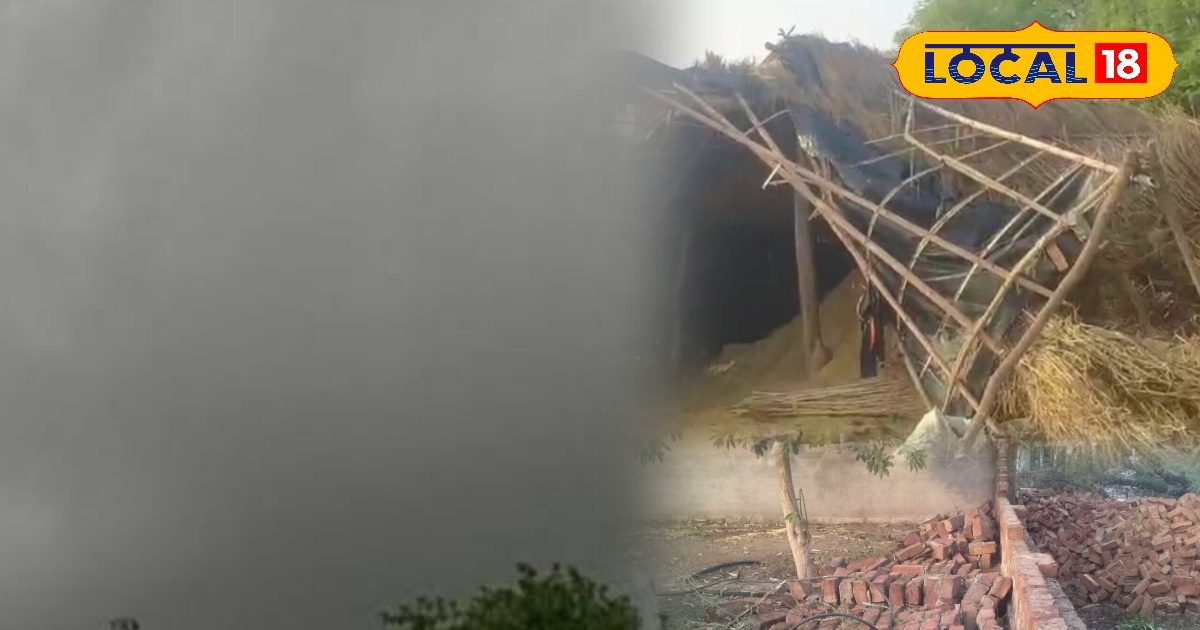 Rajasthan Bharatpur Weather Rain Today Update