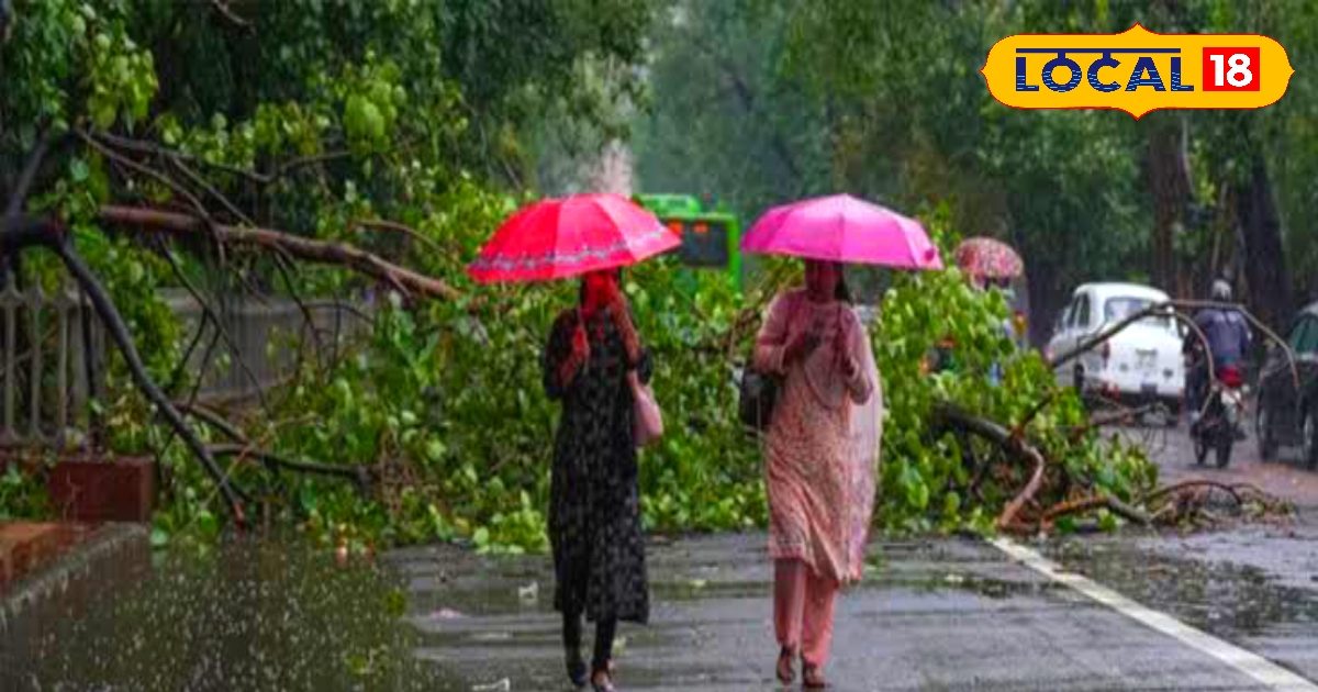 Bihar Weather Today: सावधान! पटना, पूर्णिया...आंधी-तूफान के साथ होगी ...