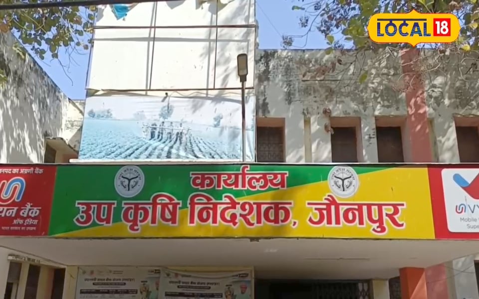 Jaunpur News : ऊपर से मेहरबानी, धरती पर अच्छे दिन...धान किसानों की चांदी, आम किसानों की बल्ले ...