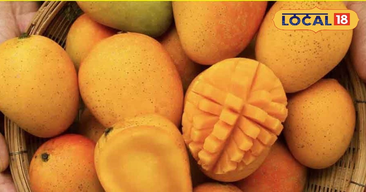 Mango Health Benefits: डायबिटीज और मोटापे के मरीजों के लिए आम खाने के ...