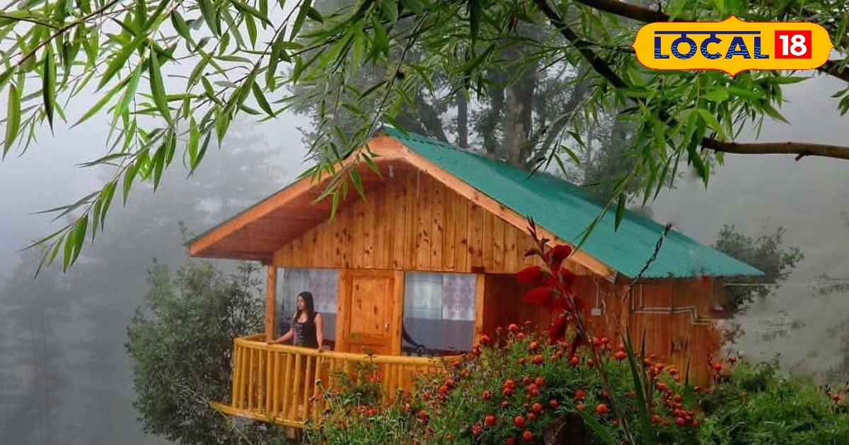 Mandi News: हॉलीवुड जैसा लेना है एडवेंचर, तो हो जाएं तैयार.. राजगुंधा ...