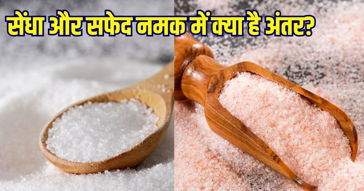 Sendha Salt Vs Normal Salt difference: सेंधा नमक और सफेद नमक में अंतर ...