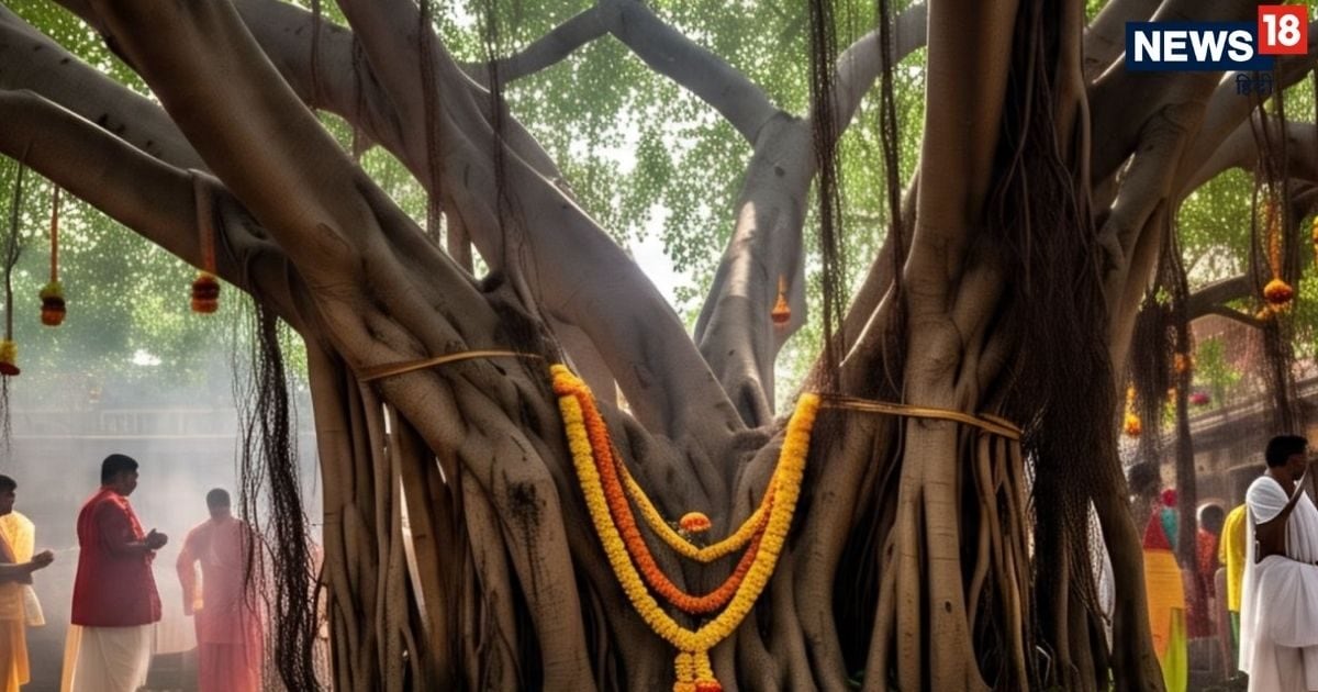 vat savitri vrat 2025 today Why vat vriksh or bargad ka ped worshipped ...