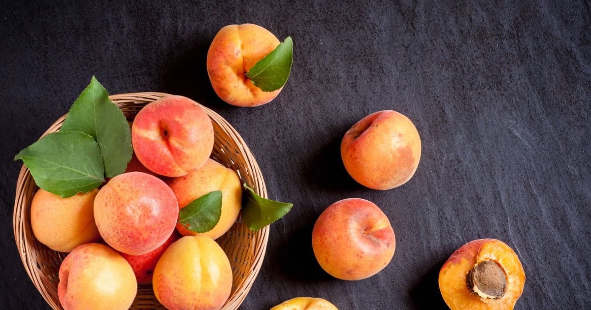 Benefits of Apricot: खुबानी के फायदे - News18 हिंदी