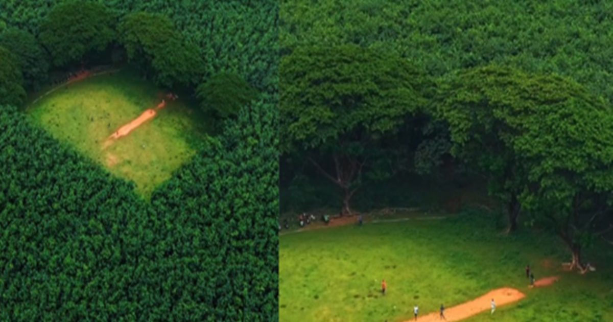 Kerala hidden forest cricket ground: जंगलों के बीच छिपा क्रिकेट ग्राउंड ...