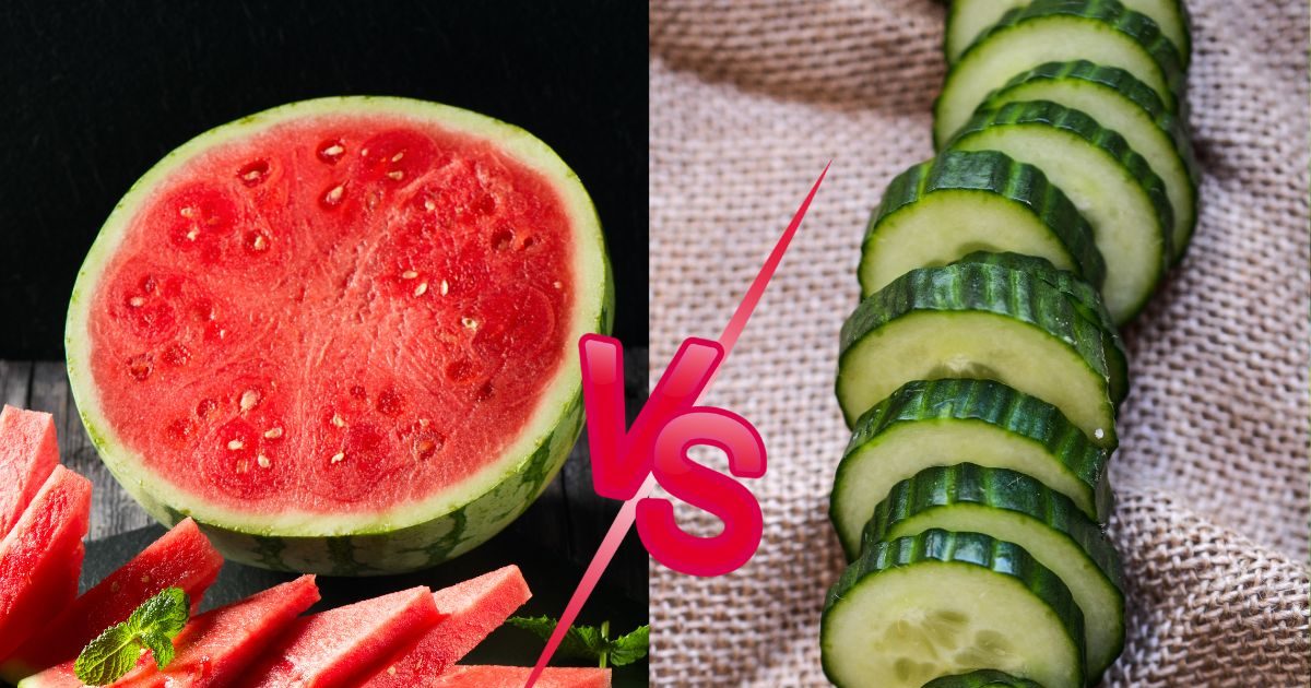 Cucumber vs Watermelon Which is Better for Summer Health : गर्मियों में ...
