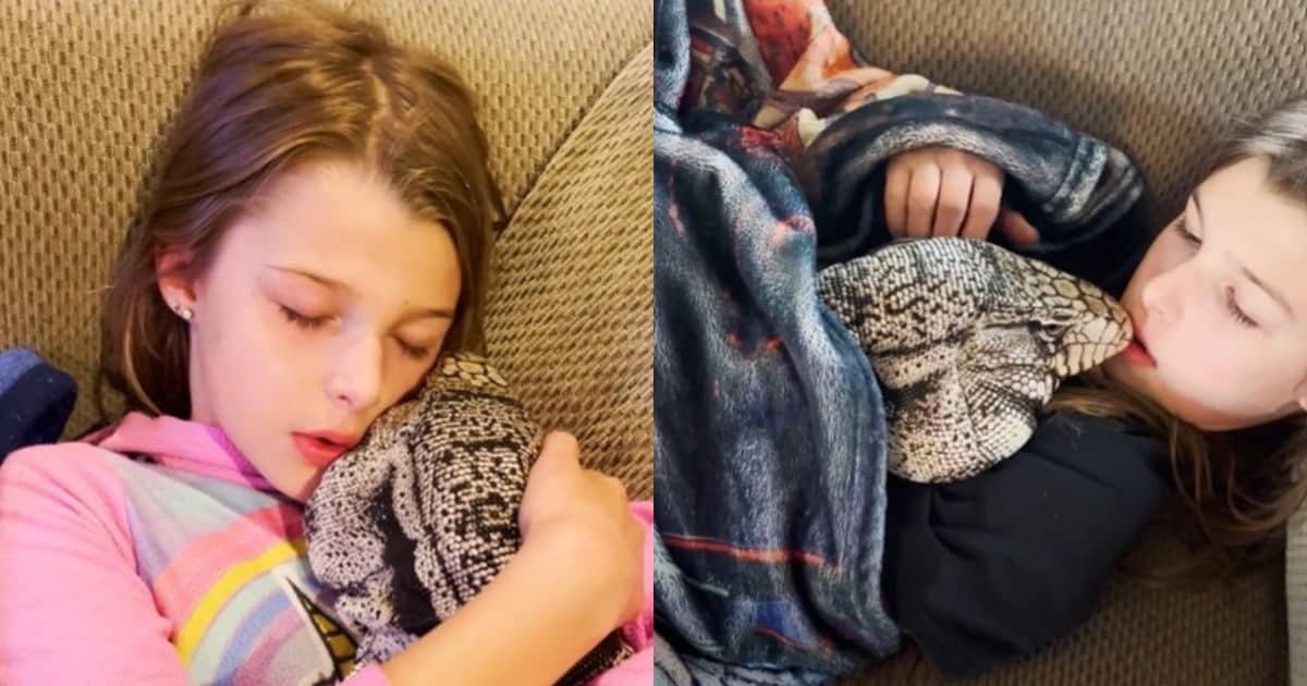 girl pet lizard acts like pet dog cuddle sleep together Argentine black ...