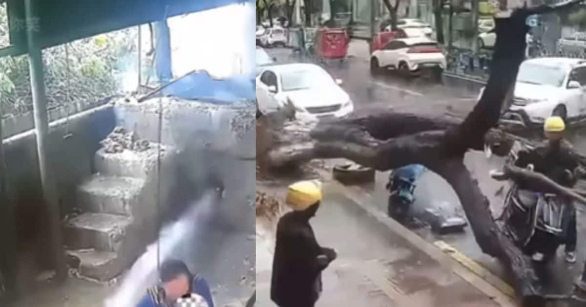 Viral Video People Escape Death Luck Saves Lives - 'मौत तो छूकर निकल गई ...