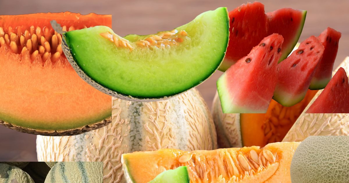 6 Melons You Should Eat This Summer : गर्मी में पानी से लबालब भरे ये ...