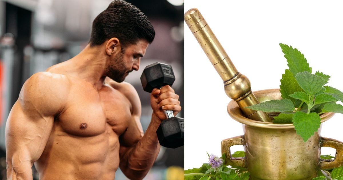 Natural Muscle Building Foods: प्रोटीन पाउडर छोड़ें, मसल्स बनाने के लिए ...