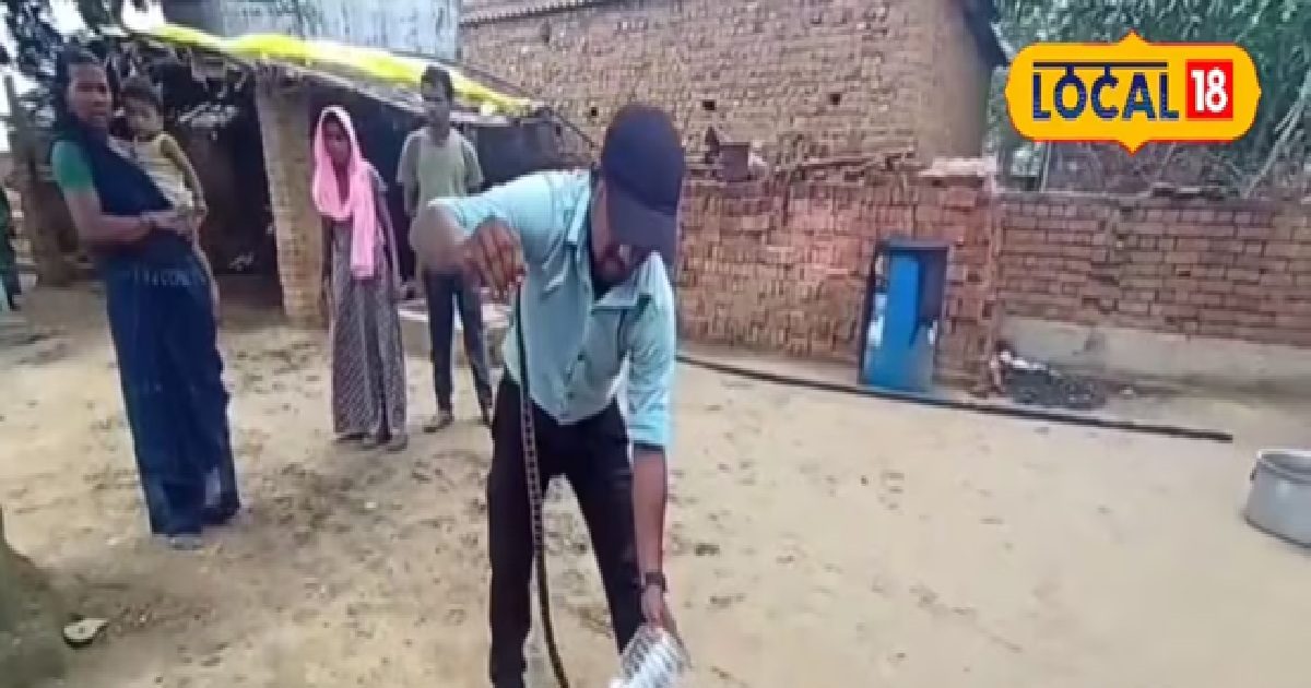 Korba News: कमरे में बनाया बिल, सांप निकला और काट लिया...युवक की मौत - News18 हिंदी