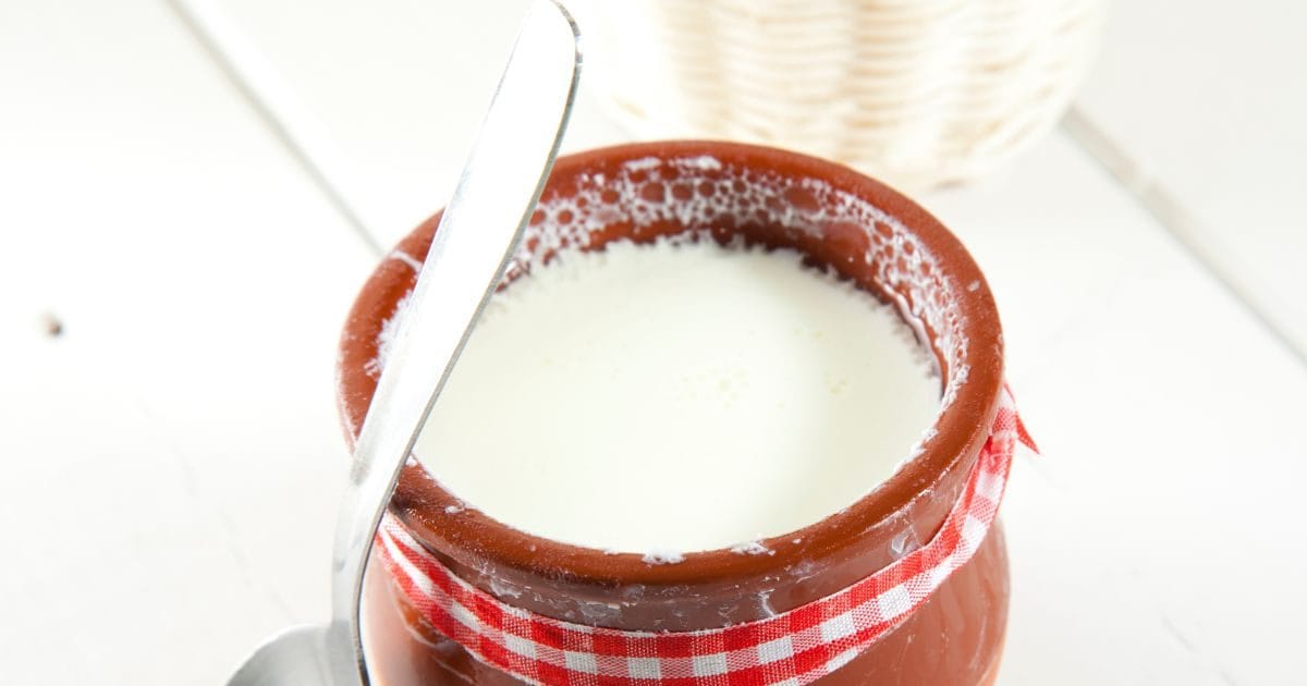 How Long Does Yogurt Stay Fresh Curd Storage Tips | दही कितने दिनों में ...