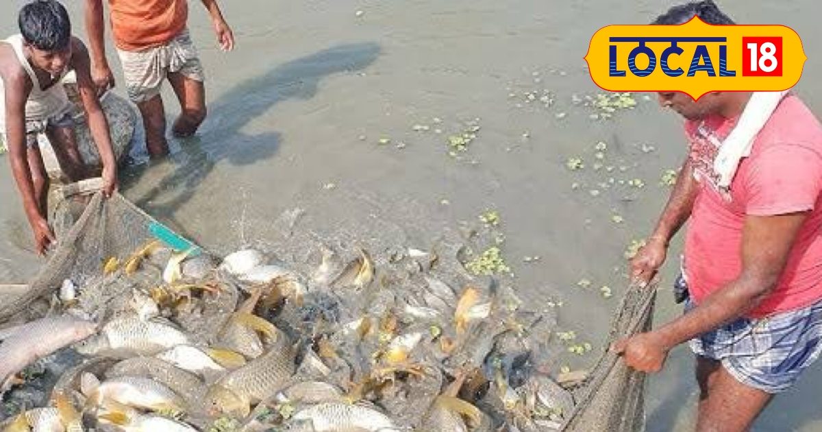 Now You Can’t Catch Fish! In This Part of Bihar, Catching Fish Can Land ...