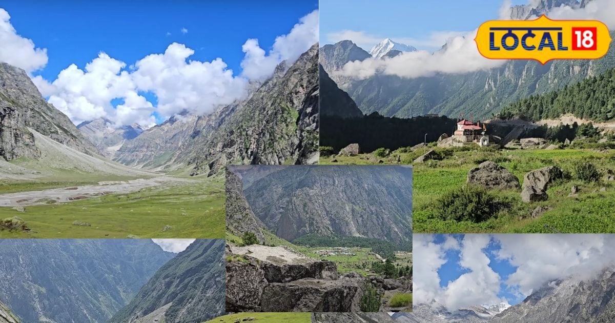 Chamoli News: गर्मियों की छुट्टियों में करें कुछ हटकर प्लान, गमशाली बुग्याल ट्रैक पर पाएं ...