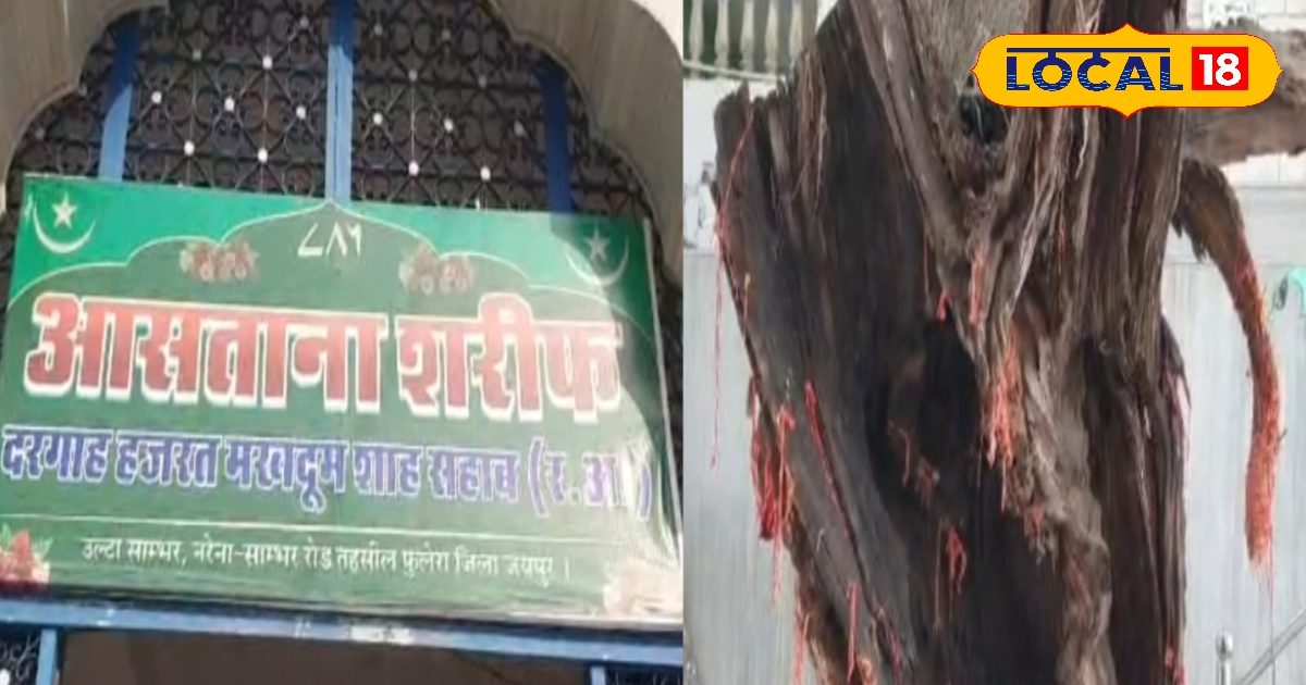 Like Hindu temples thread of vow is tied on tree located in this dargah ...