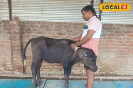 पहले विदेशी, फिर एक्टर से की शादी, 14 बार प्रेग्नेंसी हुई फेल, अब हैं ...