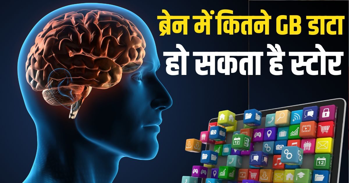 an Our Brain Store Millions of GB Science Has the Answer | हमारे दिमाग ...