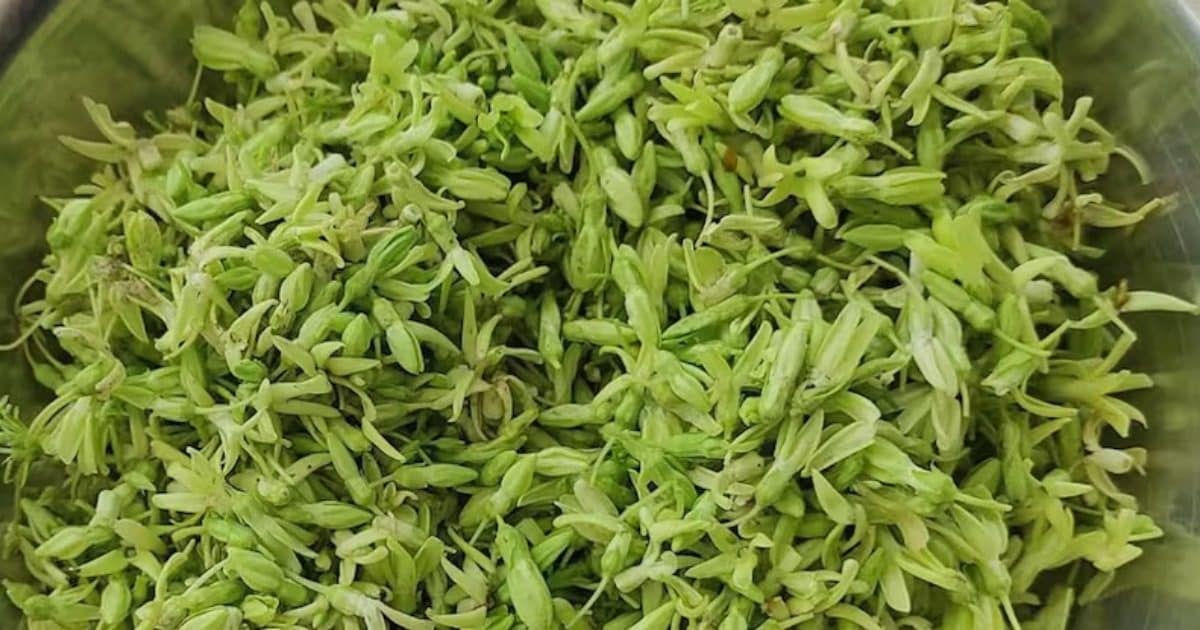 सब्जी नहीं ये वैक्सीन है! खाकर पेट तो भर जाएगा लेकिन मन नहीं...सेहत के ...