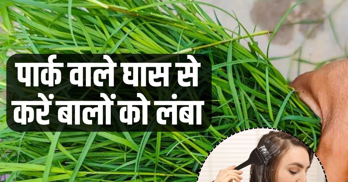 durva doob grass benefits for Hair Regrowth Step-by-Step Guide to ...