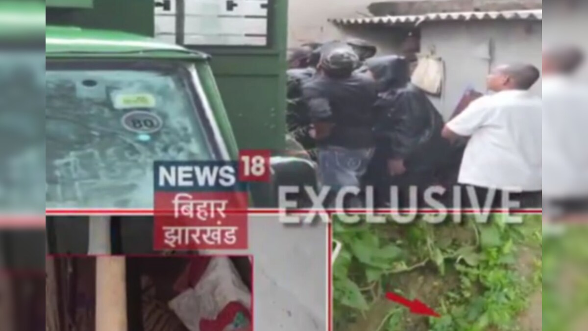 Jharkhand Tiger Rescue : लाइट, कैमरा और एक्शन! देखें झारखंड के रांची ...