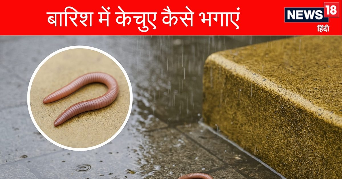 Barish me kechue kaise bhagaye । बरसात में घर से केचुए हटाने के 10 उपाय ...