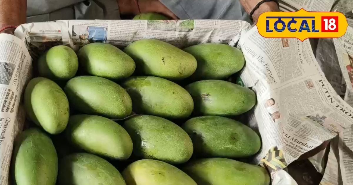 दिल्ली की आजादपुर मंडी में मलिहाबादी दशहरी आम की धूम. - News18 हिंदी