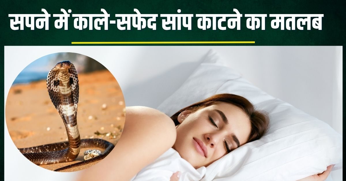 Sapne Mein Saap Katne Ka Matlab: सपने में सांप काट ले, तो शुभ है या ...