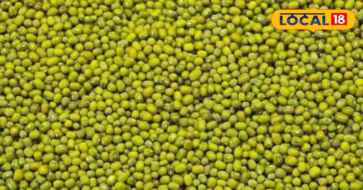 moong Cultivation Tips: किसान भाई ध्यान दें! मूंग की खेती में ये 3 ...