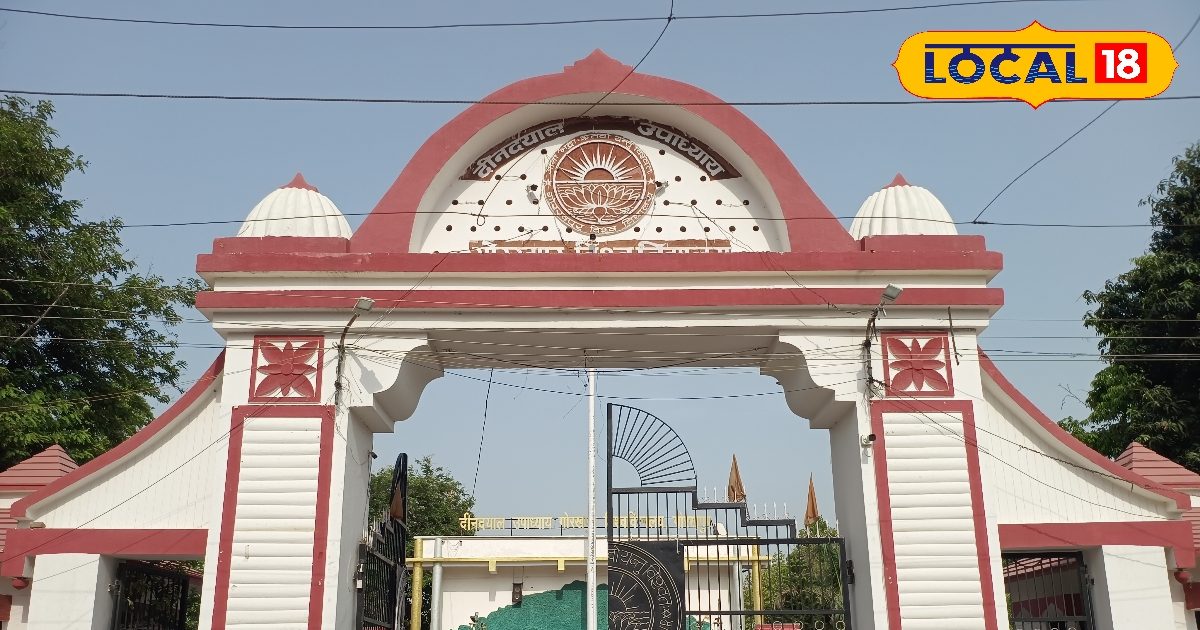 DDUGU के 75 प्रोफेसर पहुंचे साइंटिफिक इंडेक्स में, बायोलॉजी से लेकर ...