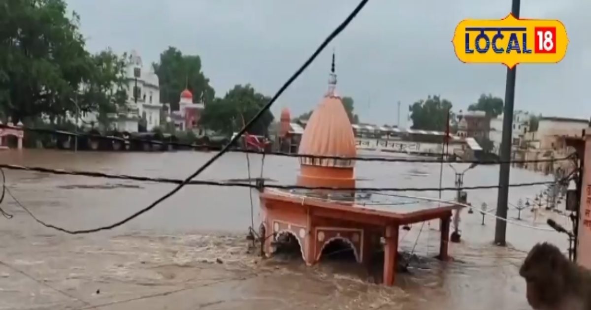 चित्रकूट में मूसलाधार से मंदाकिनी नदी उफान पर, रामघाट के मंदिर समेत सभी ...