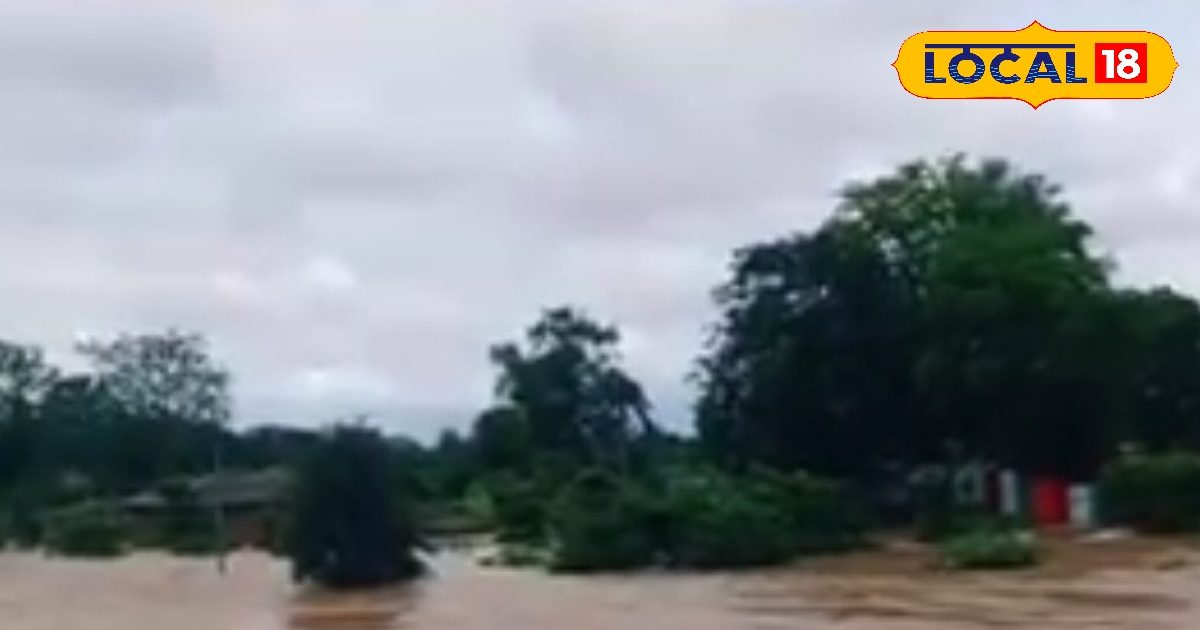 Rewa News: रीवा में 'जल प्रलय', घरों में घुसा पानी, सड़कें बनीं तालाब… बाढ़ से कई गांवों का ...