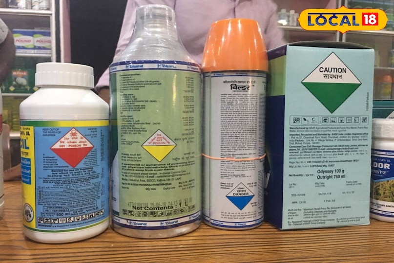 Agriculture Tips: लाल, पीला या नीला? डिब्बे का रंग तय करेगा आपकी फसल का ...