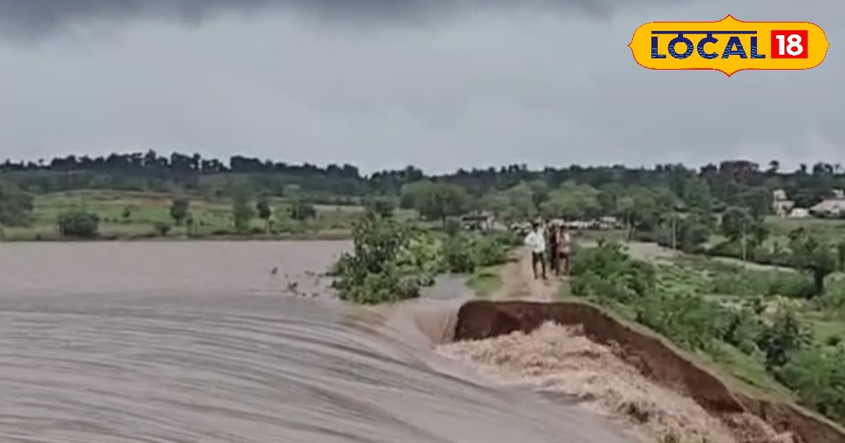 MP Rain Alert: मध्य प्रदेश में आफत की बारिश, जगह-जगह जलभराव, तवा डैम के 7 गेट खोले, भोपाल समेत ...