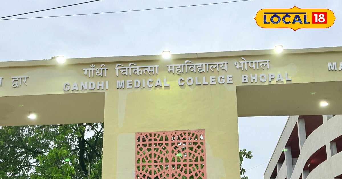 अब आसानी से बनेंगे डॉक्टर! MP के सरकारी कॉलेजों में MBBS सीटों की बारिश, तो वहीं BDS की सीटें भी ...