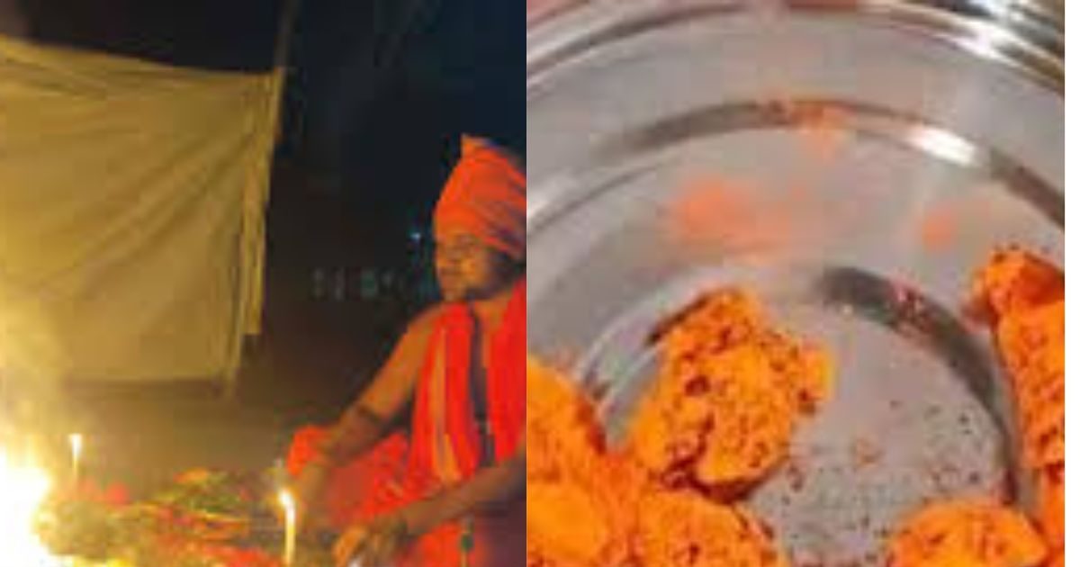 lizard private parts| Astrologer selling private parts of lizard ...