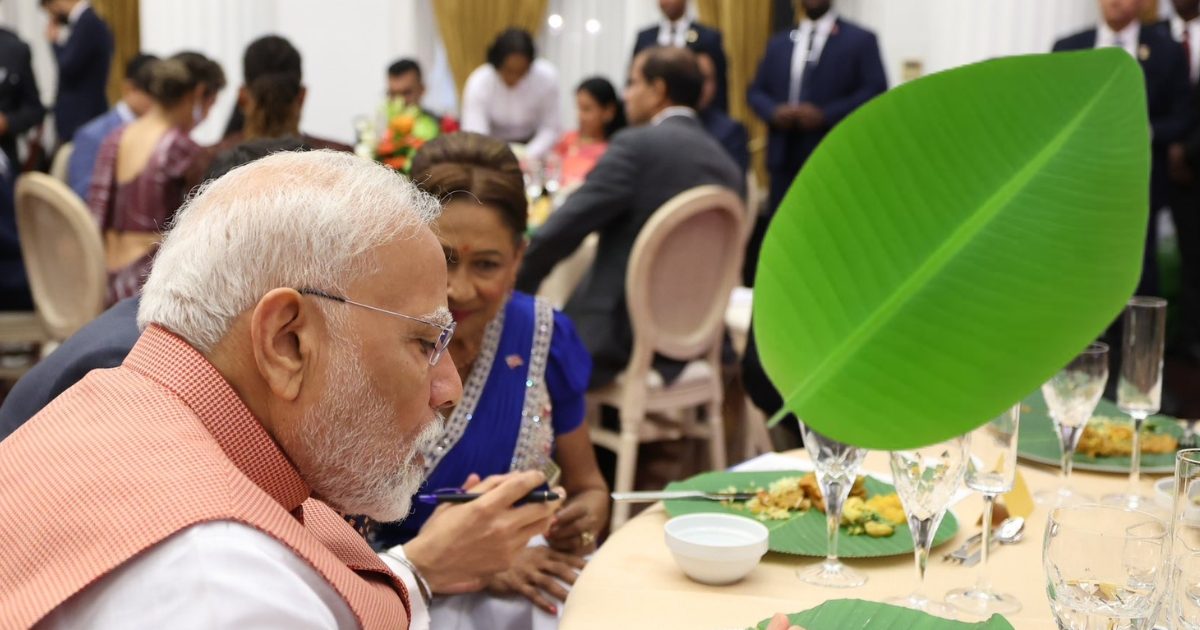 Sohari Leaf Health Benefits । सोहारी पत्ते पर खाने के फायदे - News18 हिंदी