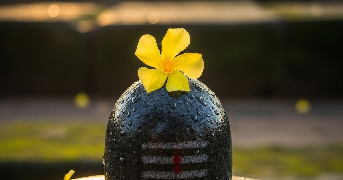 Shivling yellow flower meaning। शिवलिंग पर दिखे पीले फूल का क्या मतलब ...