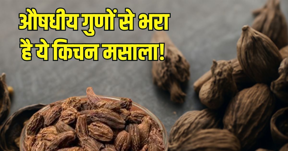black cardamom benefits for digestion immunity skin | सेहत का सच्चा ...