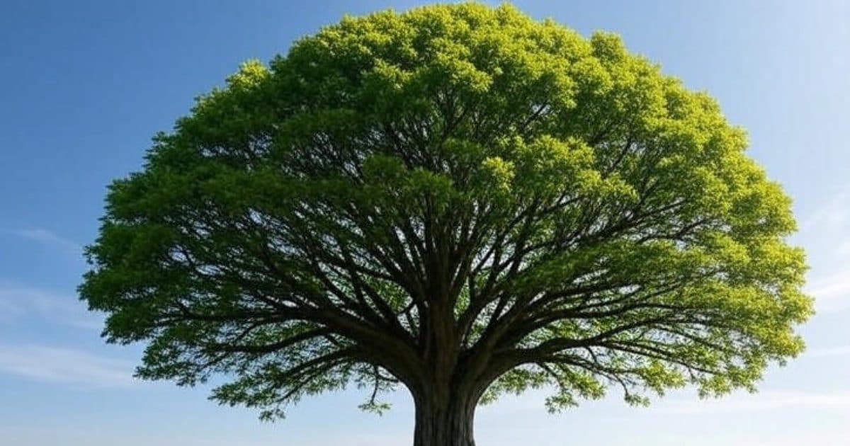 Why to avoid Gular Tree during Kanwar Yatra । कावड़ यात्रा में गूलर ...