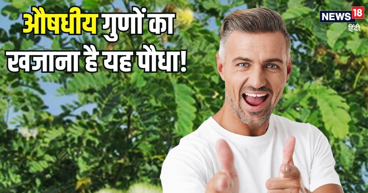Shirish flowers leaves beneficial for skin diseases mental peace | सिर ...