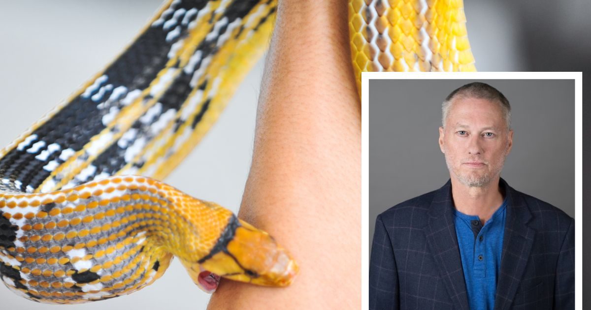 Man Survives Most Venomous Snake Bite : 700 सांपों का जहर चढ़कर उतर गया ...