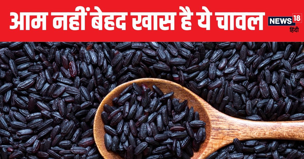 What are the benefits of Chak Hao rice: मणिपुर के चावल हैं खास - News18 ...