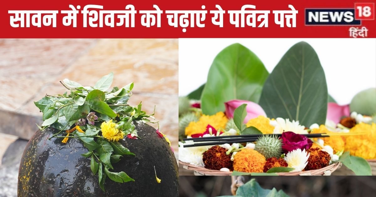 Leaves Offered to Lord Shiva: सावन में शिवजी को चढ़ाएं ये 7 पत्ते, हर ...
