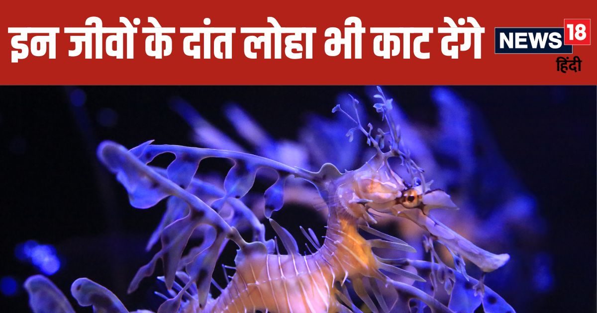 Sharpest Animal Teeth in Nature | दुनिया के सबसे तेज दांत वाले जानवर ...