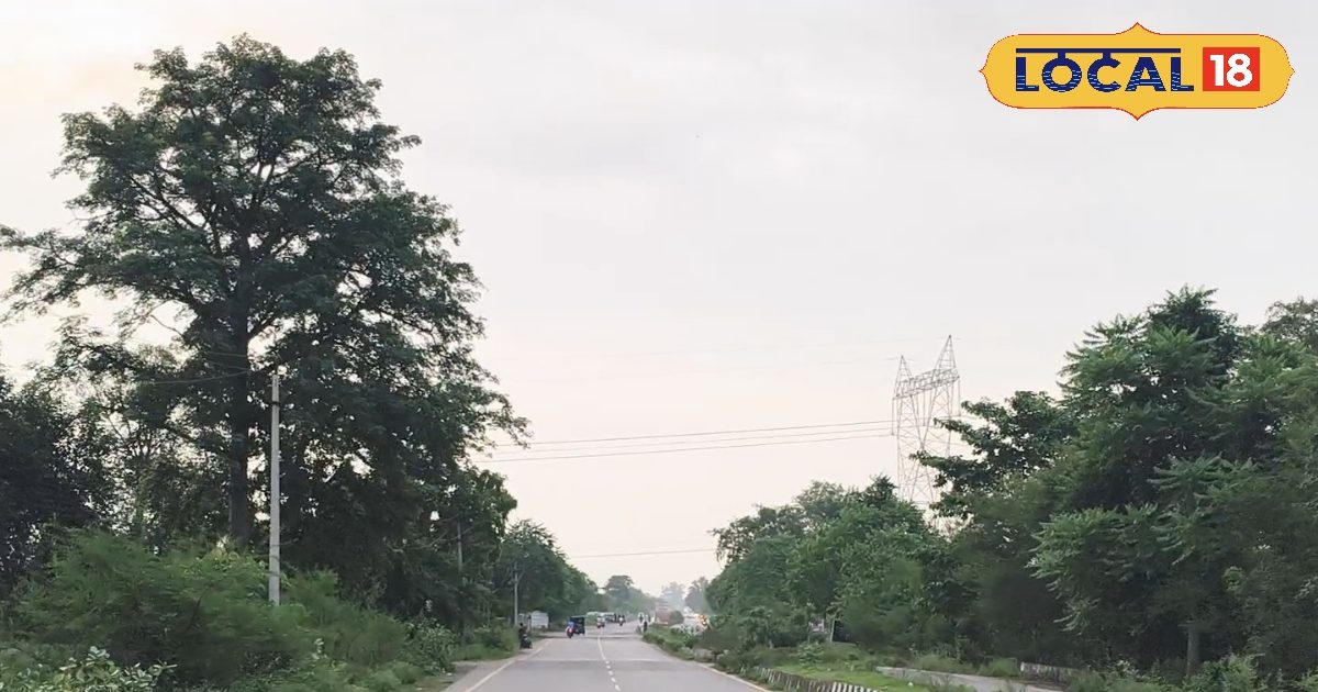 CG Weather Update: फिर बदलेगा मौसम, अगले 5 दिन रहिए सावधान! रायपुर समेत ...